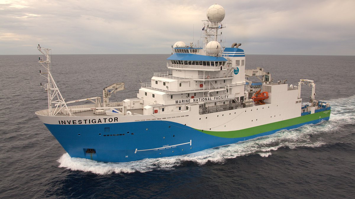 Who am I? The larval sunfish mystery - The Australian Museum Blog