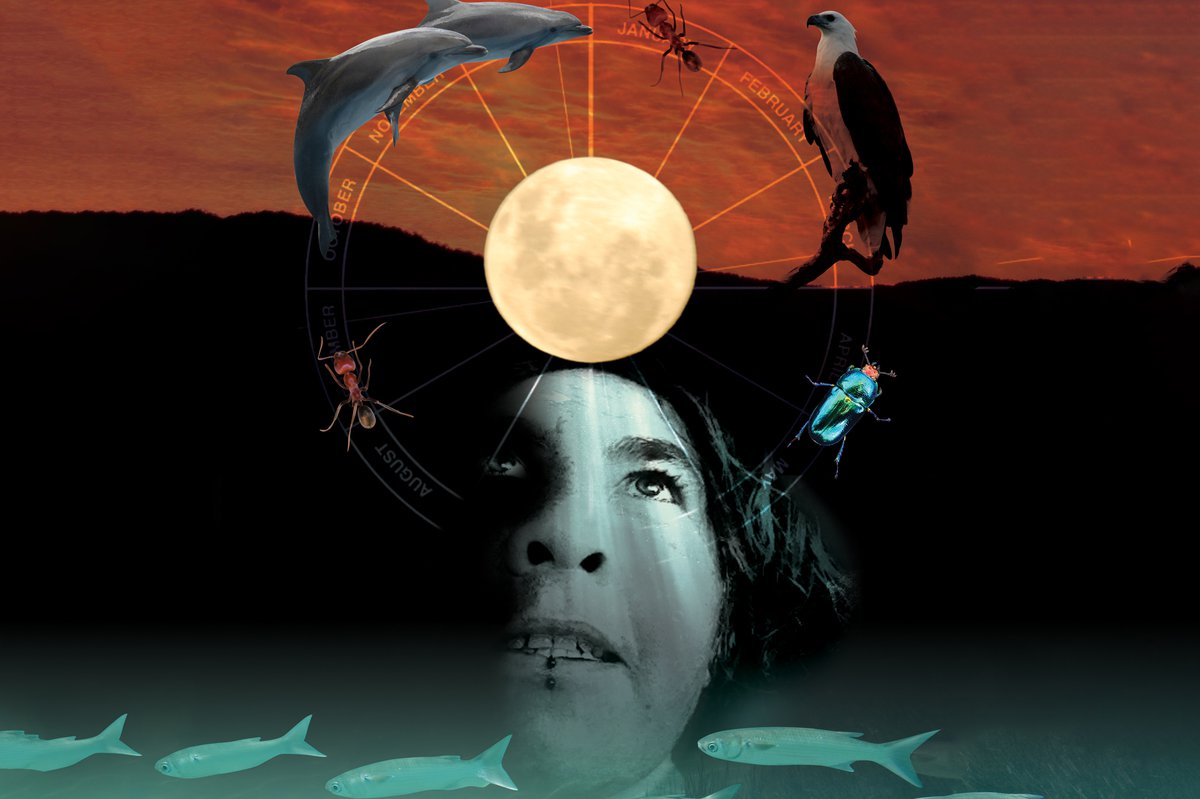 Lunchtime Conversation 2021: Chels Marshall & Dr Mariko Smith - The ...