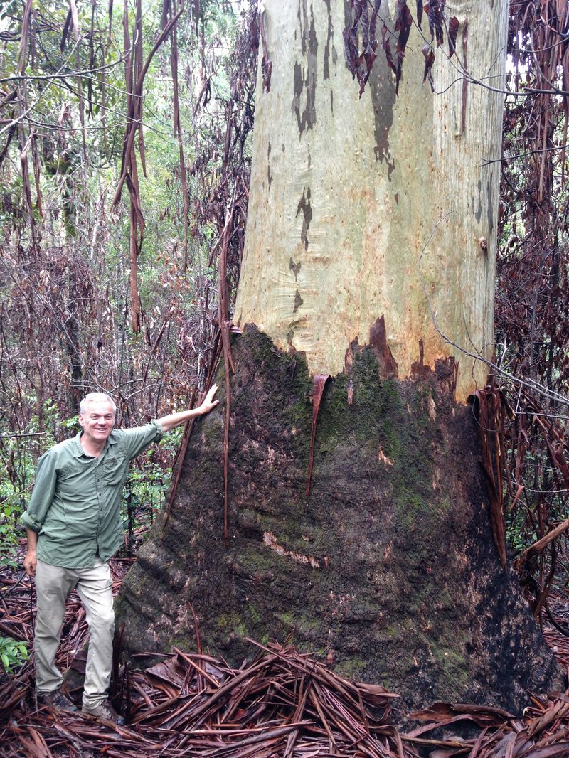 Dr Chris Reid - The Australian Museum