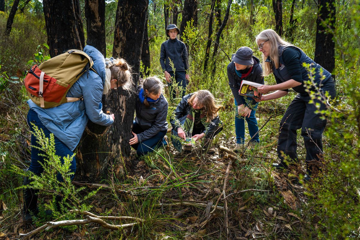 From stem inclusion, to mapping native fungi and bushfire regeneration ...