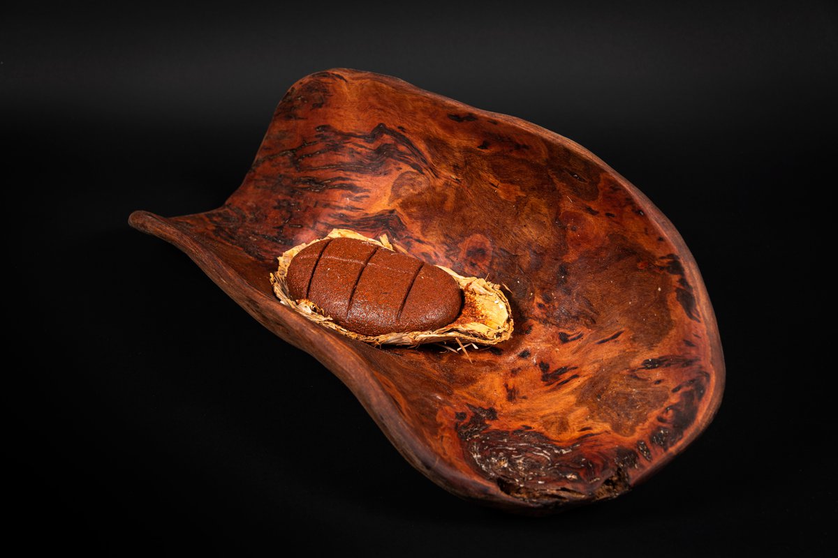 jumalung (Platypus) Coolamon - The Australian Museum