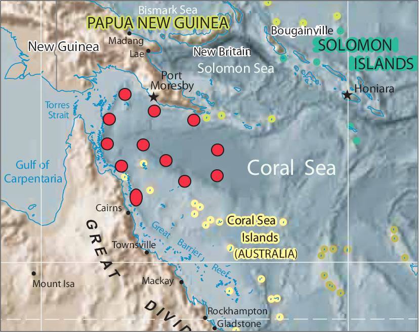 Eel biodiversity region discovered - The Australian Museum Blog