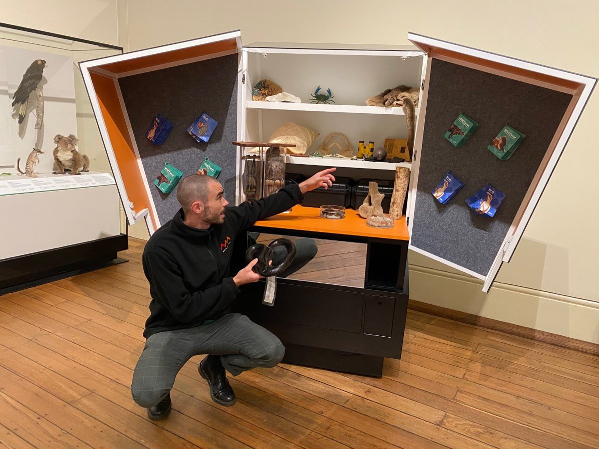 The Australian Museum's education Cube - The Australian Museum