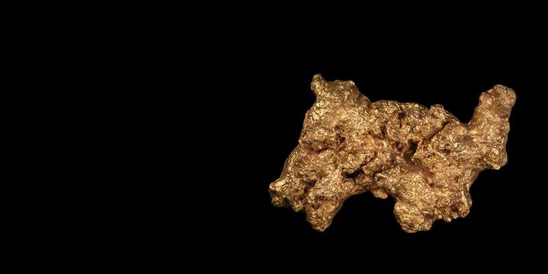 Australian Museum Gold Collection - The Australian Museum