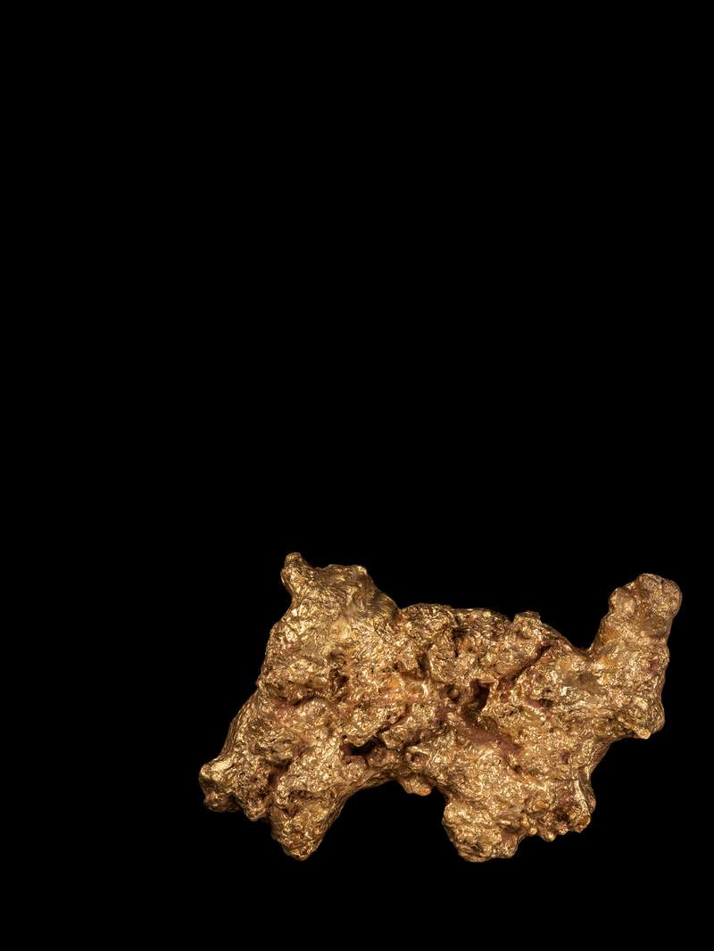 Australian Museum Gold Collection - The Australian Museum