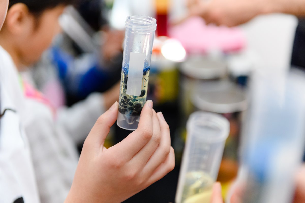 Make your own pocket volcano - The Australian Museum