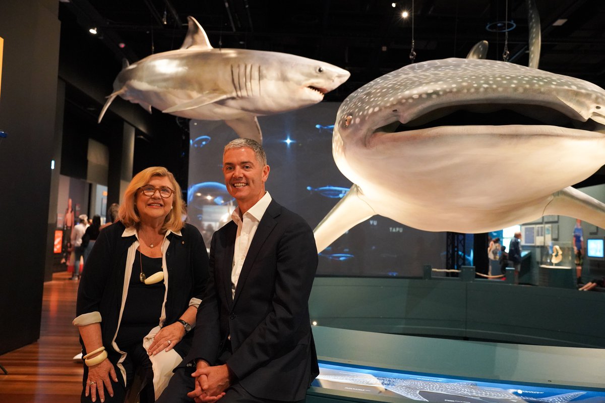 Australian Museum’s homegrown blockbuster exhibition Sharks heads to ...