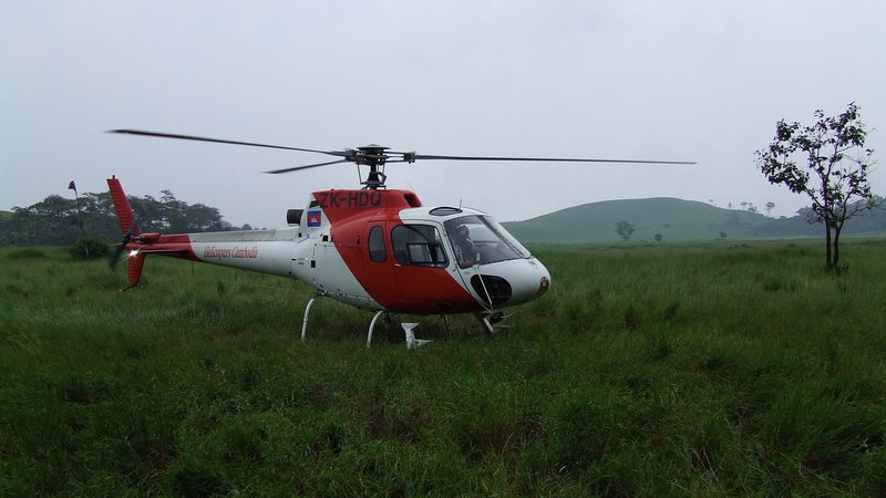 A closer look at spectacular red-eyed forest frogs reveals a new ...