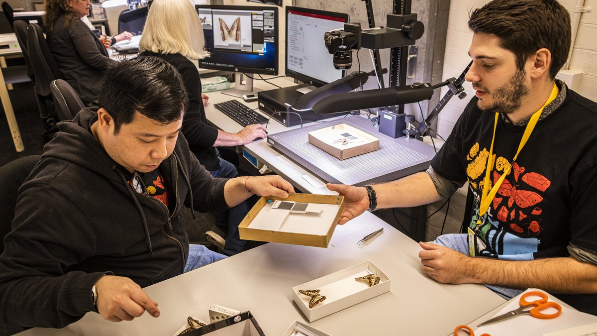 Celebrating a decade of DigiVol! - The Australian Museum Blog