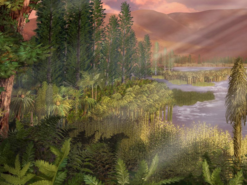 How are dinosaur fossils formed? - The Australian Museum