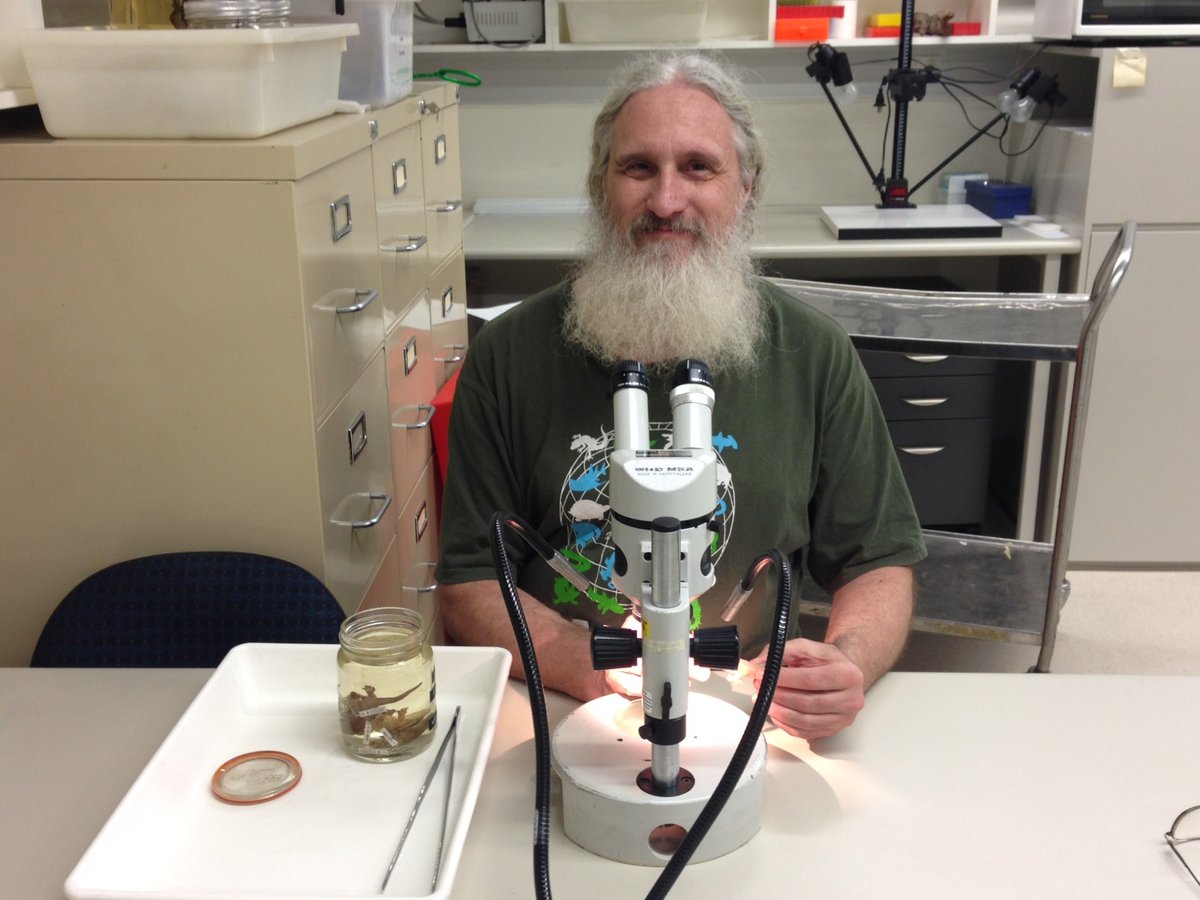 Dr Glenn Shea - The Australian Museum