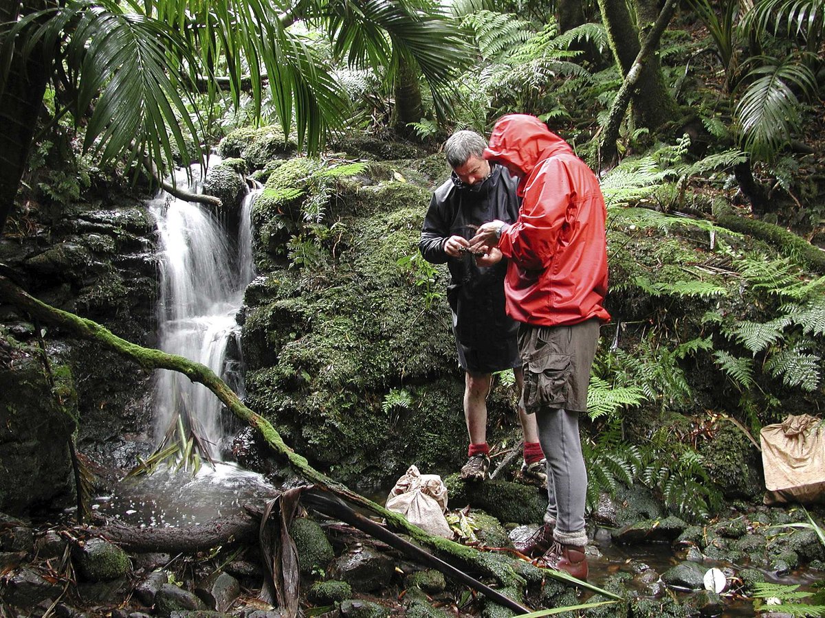 Expeditions and fieldwork - The Australian Museum