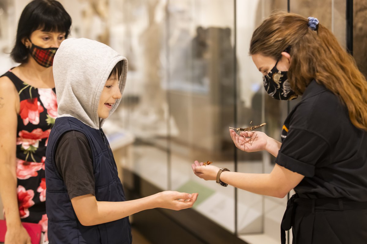 Early Birds: Autism and sensory-friendly mornings - The Australian Museum