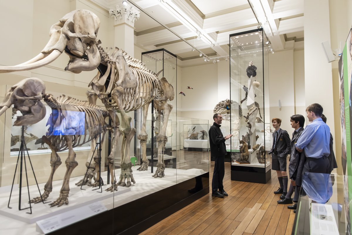 Biological Diversity study day – Sydney CBD - The Australian Museum