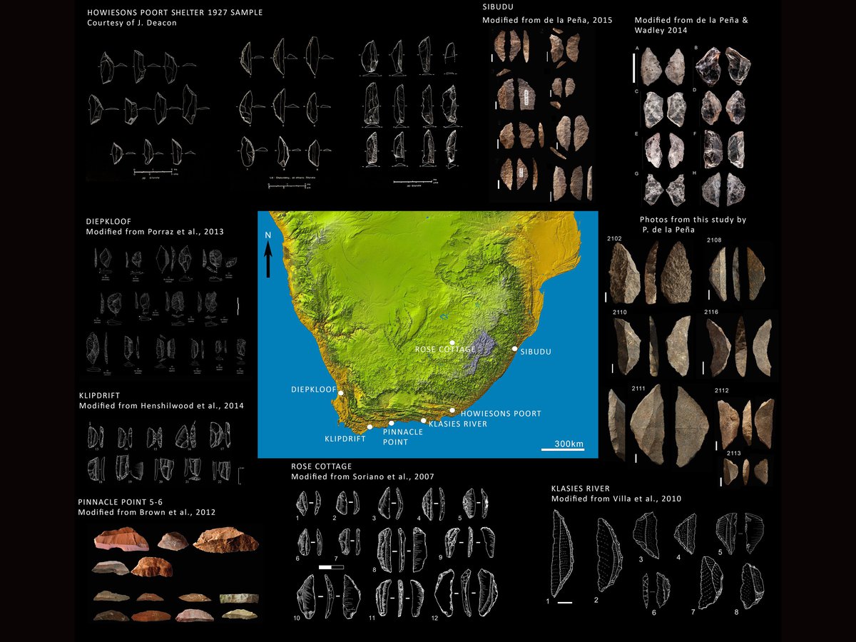 Social connectedness key to success of early humans - The Australian Museum