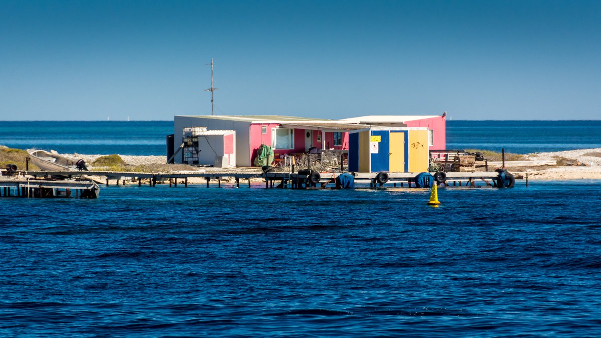 What you need to know about Australian coral reefs - The Australian ...