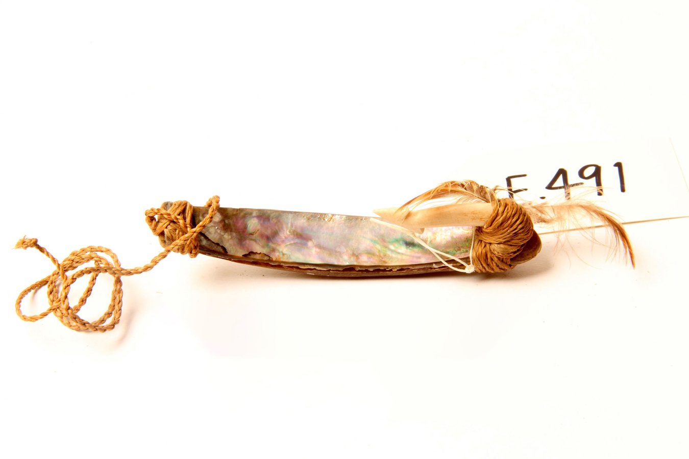 Māori fish hooks - The Australian Museum