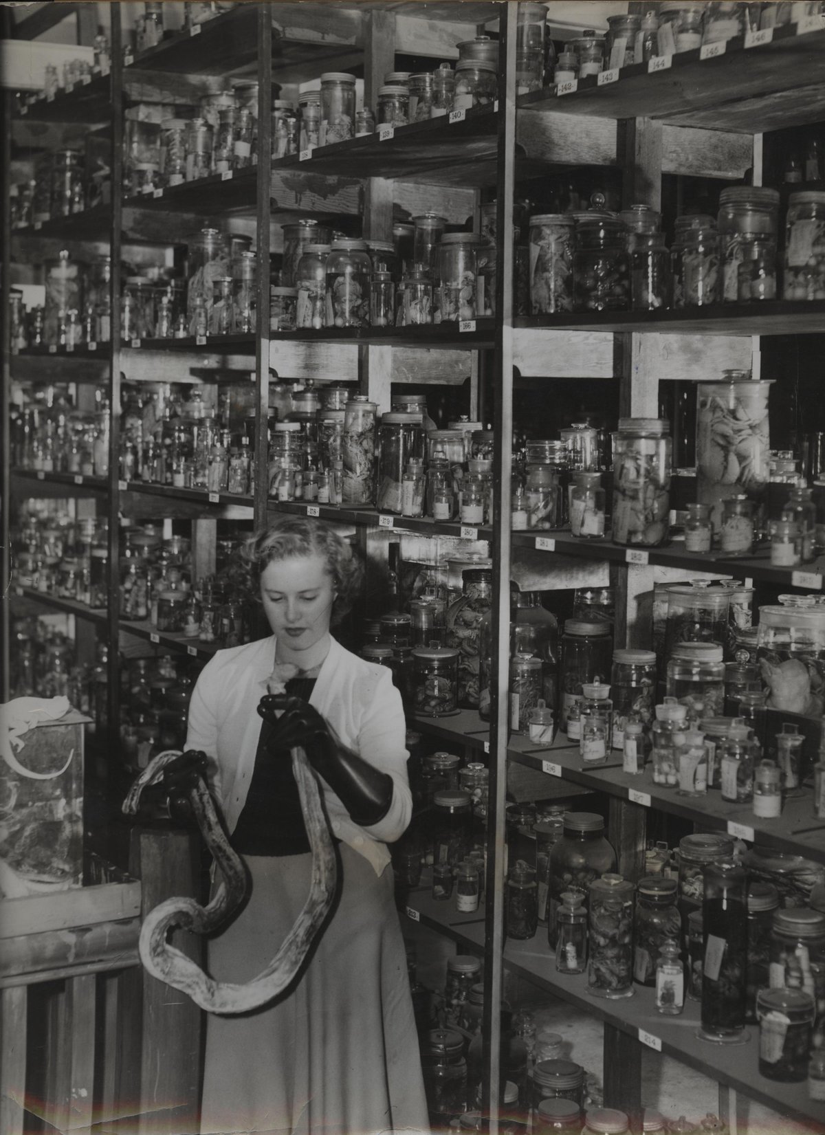 That's the spirit: a short history of wet specimen storage at the ...