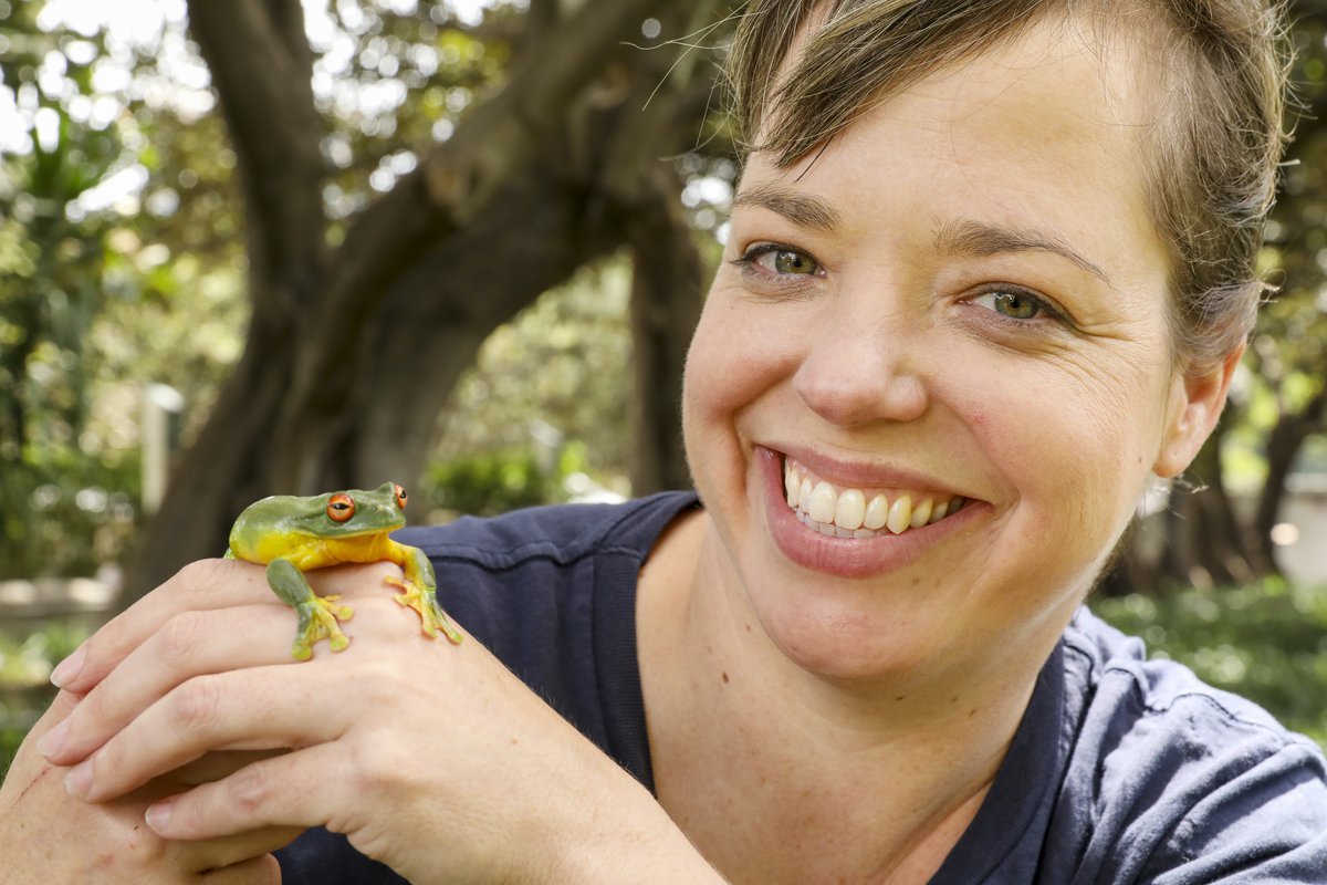 Meet the Experts – FrogID Week - The Australian Museum