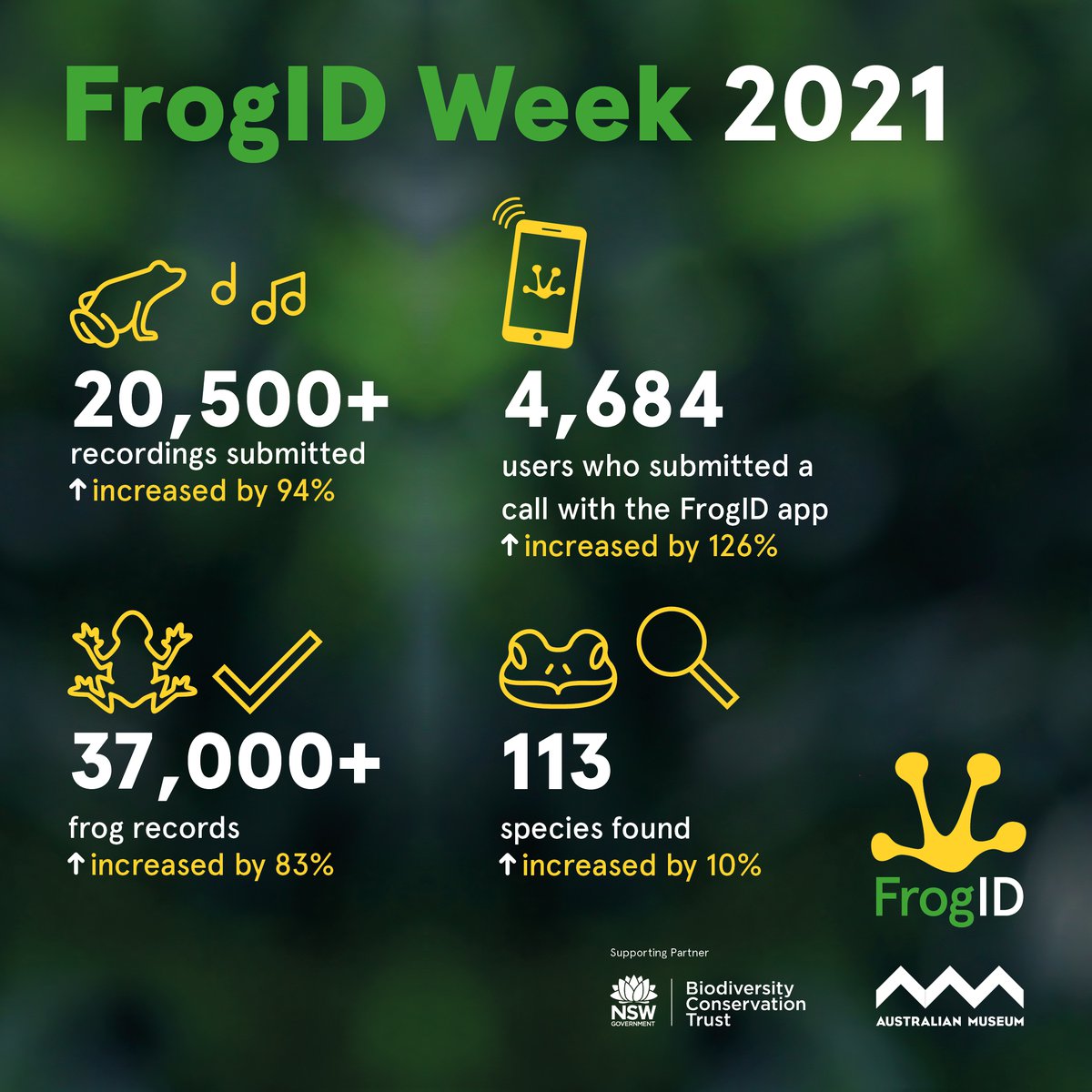 FrogID Week 2021 – over 37,000 frog records thanks to thousands of ...