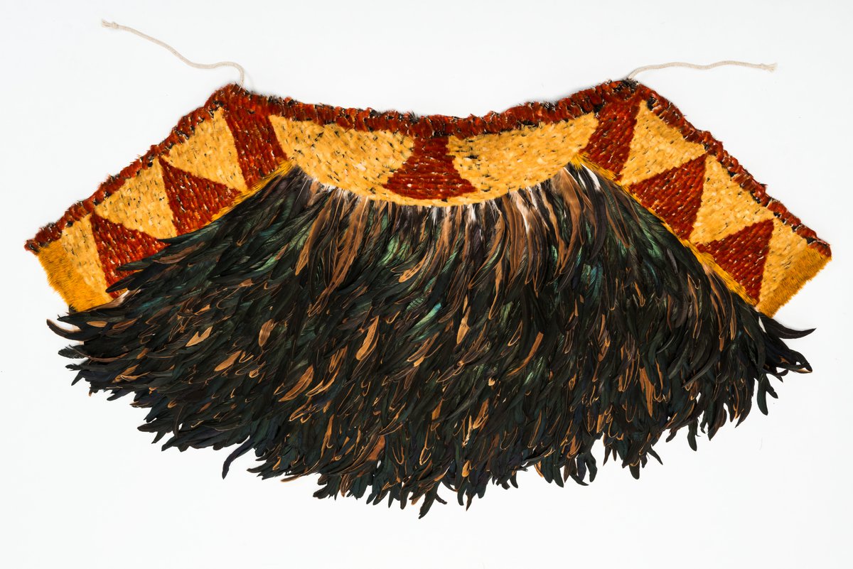 Ancient featherwork: The creation of the Cook’s cape replica - The ...