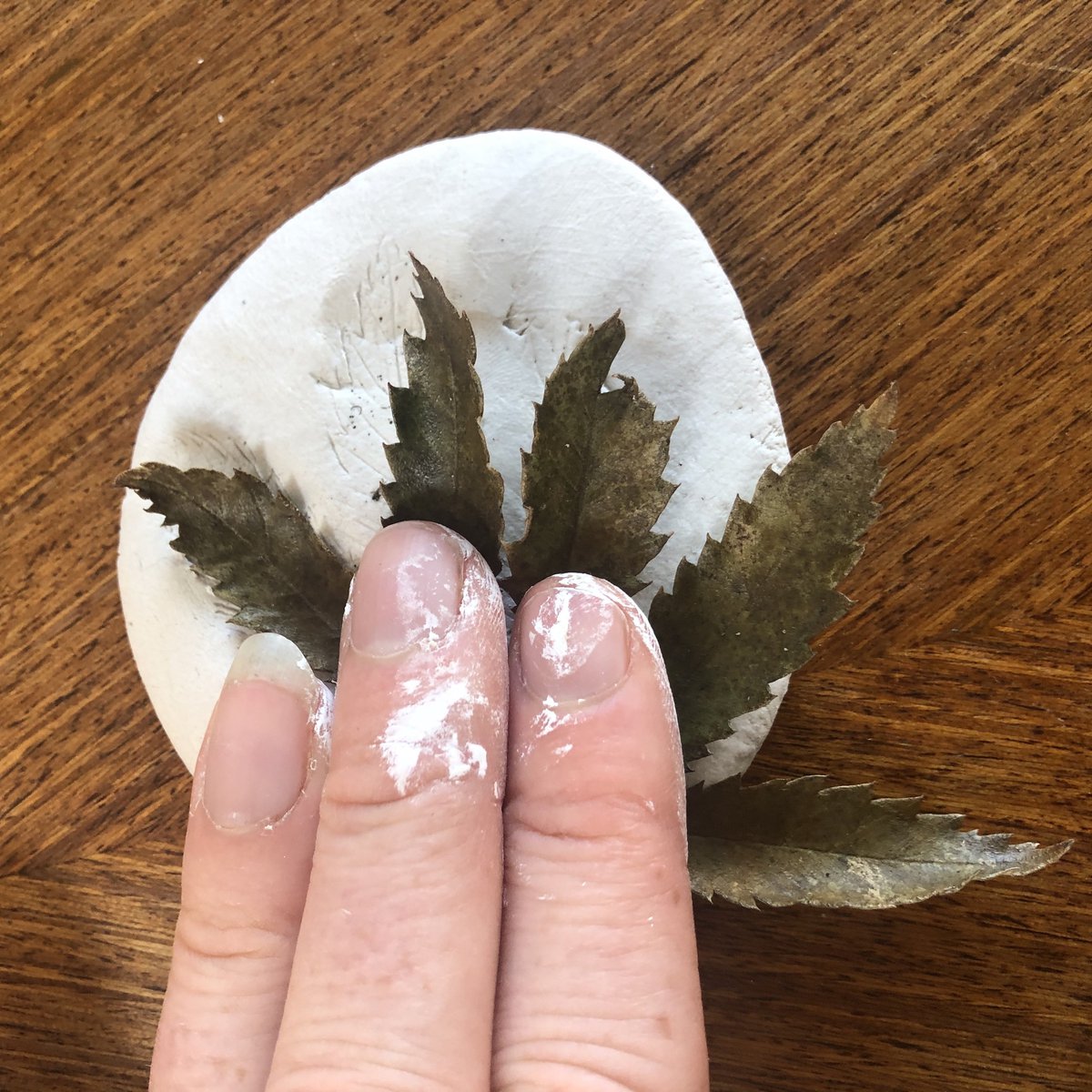 Make your own impression fossil - The Australian Museum