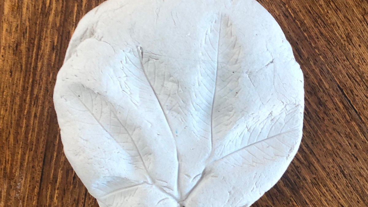 Make your own impression fossil - The Australian Museum