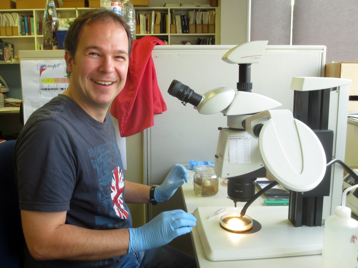 Dr Ingo Burghardt - The Australian Museum