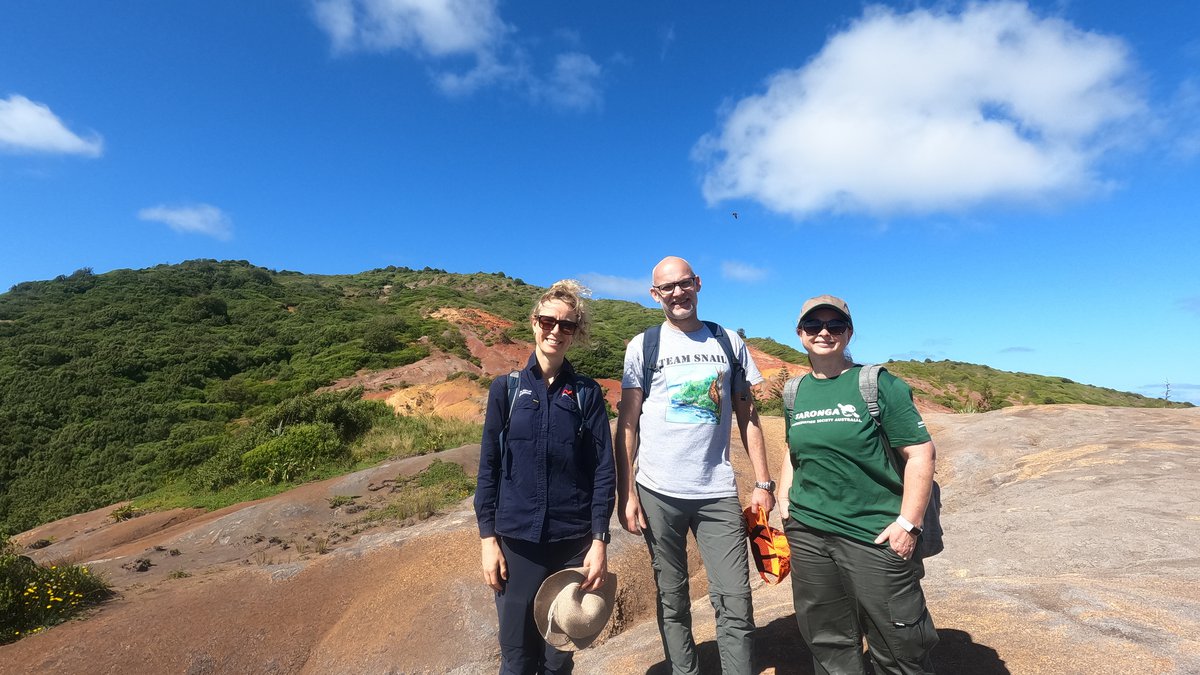Back from the brink: Snail success stories - The Australian Museum Blog