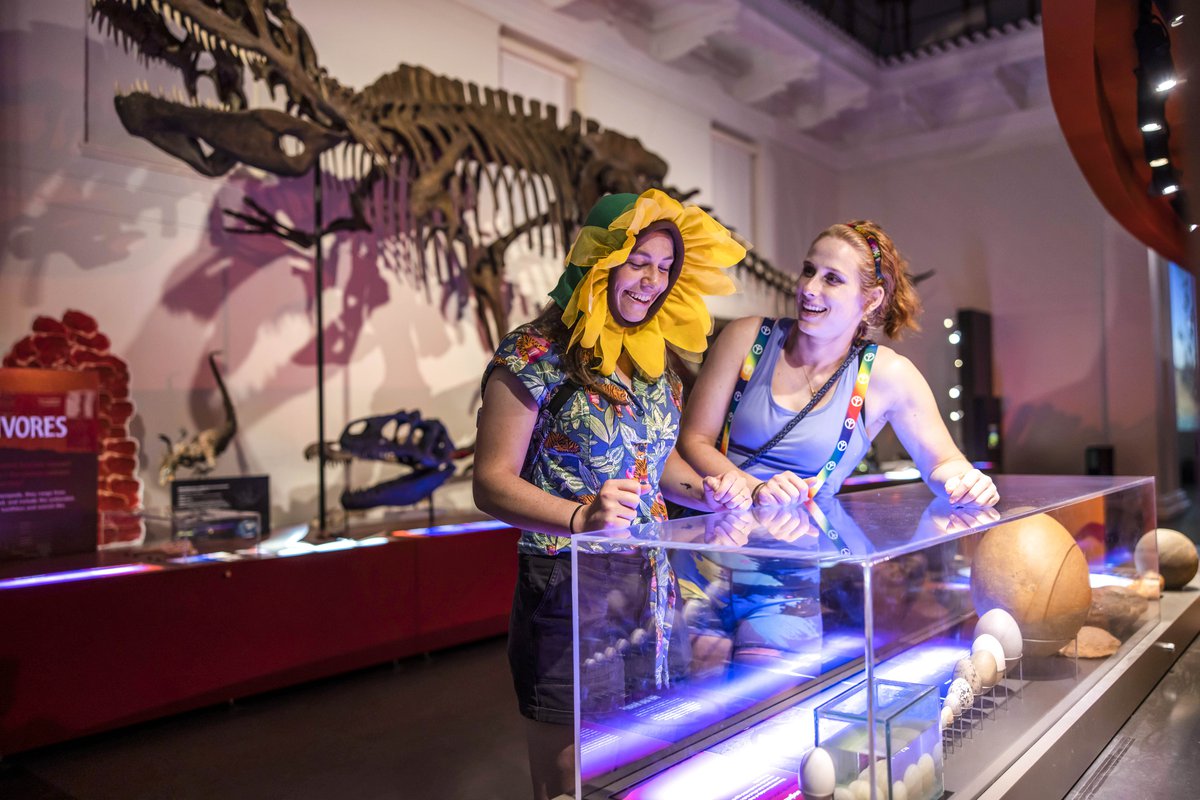 Night Owls: an Autism and Sensory-Friendly Night Out for Adults - The ...