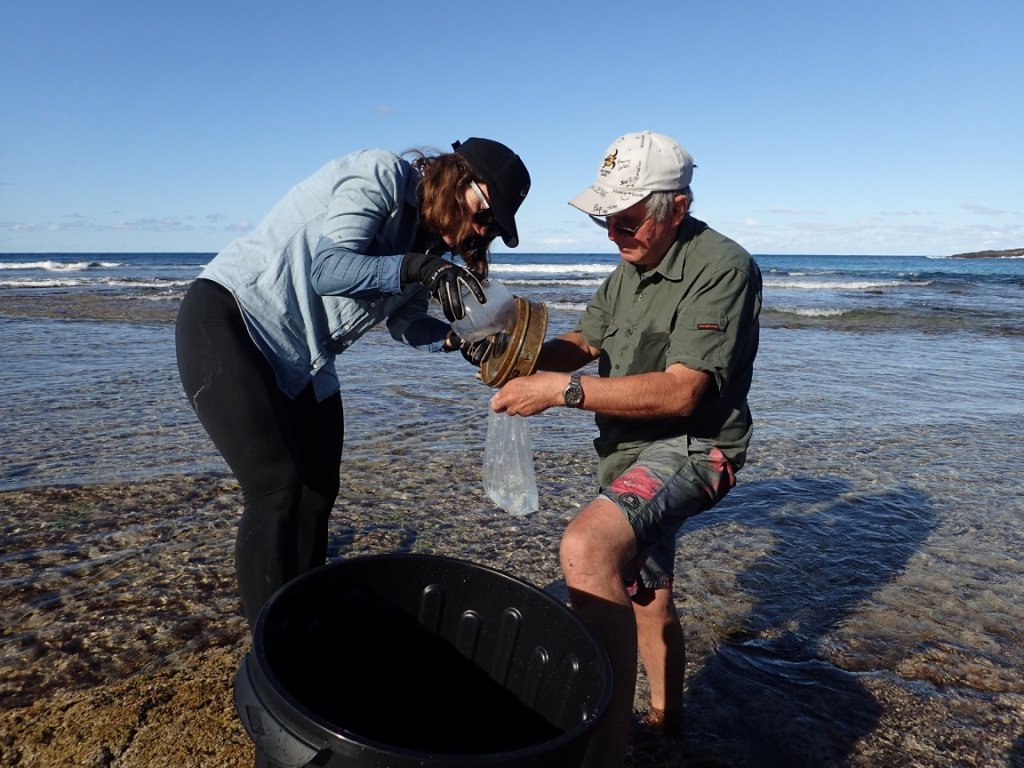 The excitement continues: post-Lord Howe Island expedition - The ...