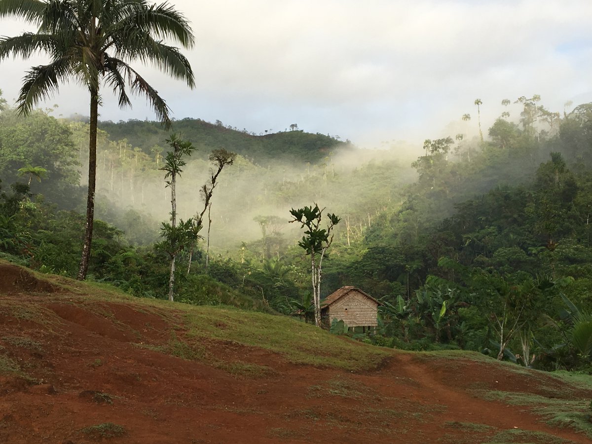 Expedition to Malaita: The return from searching for the island’s ...