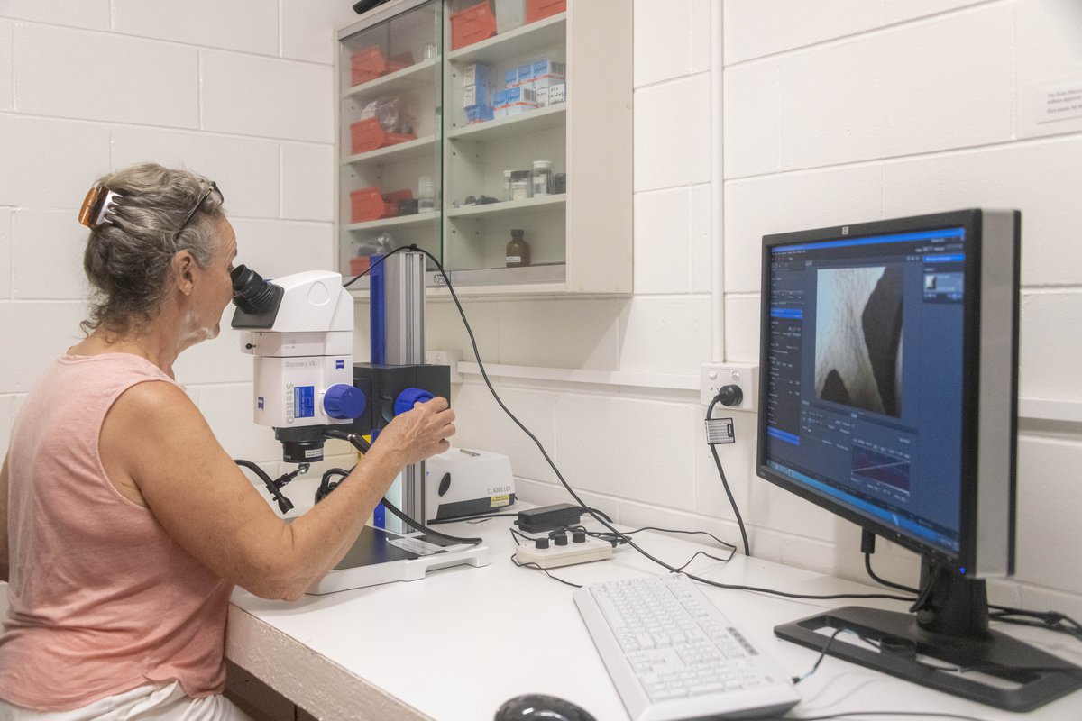 Laboratories & more - The Australian Museum