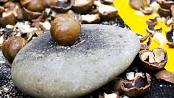 This month in Archaeology: Stone hatchets as nut-cracking tools - The ...