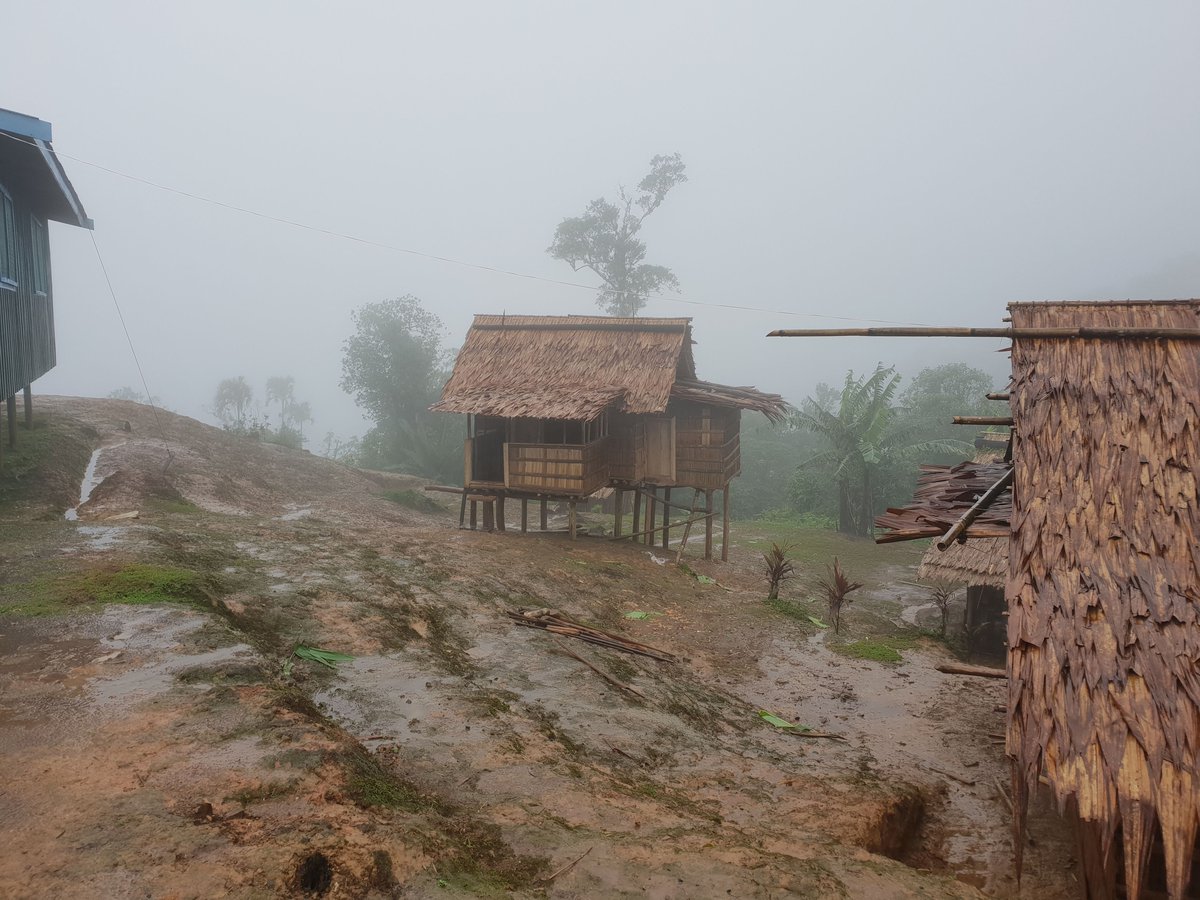 Expedition to Malaita: The secret world of insects and snails in the ...