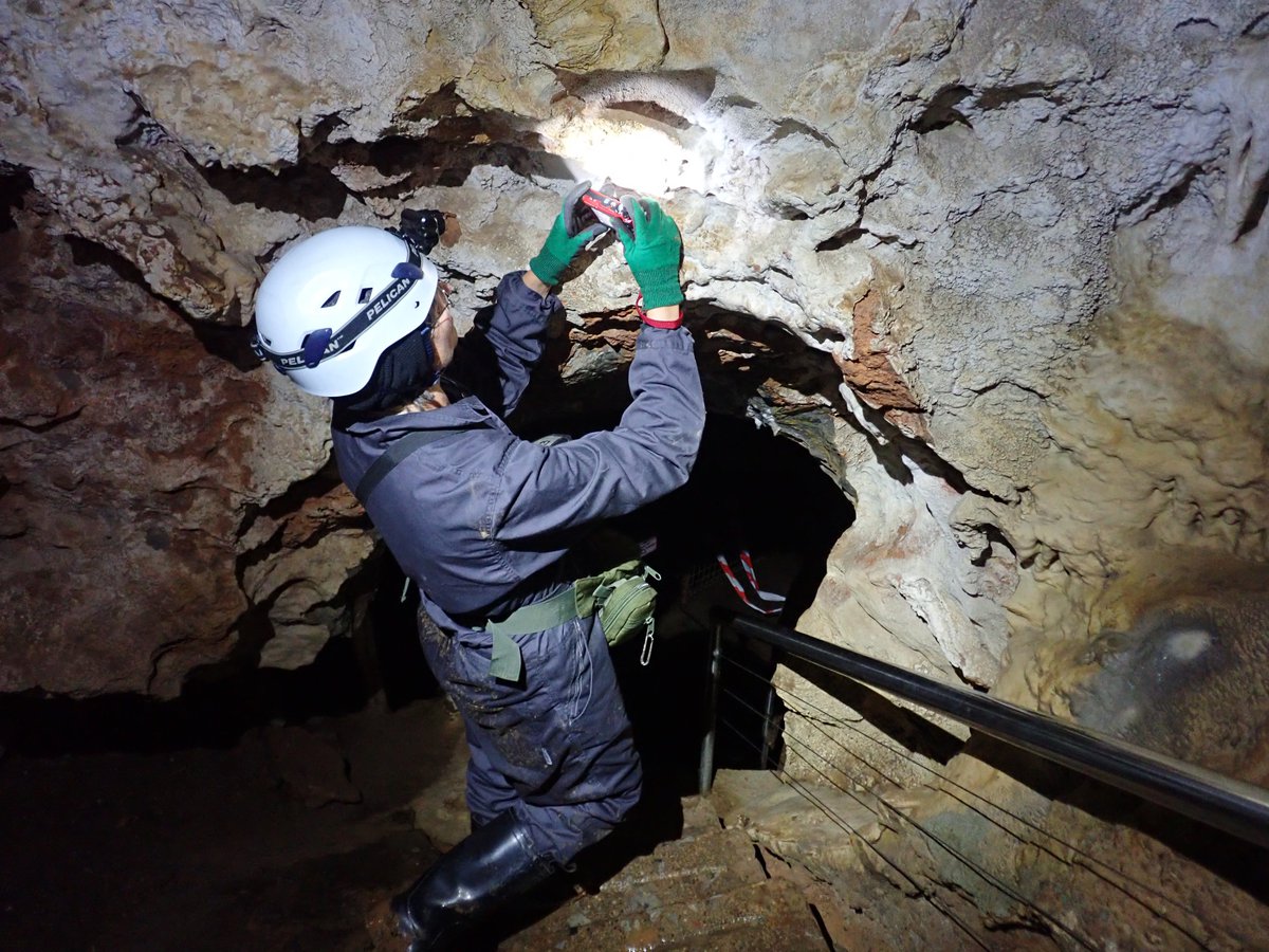 Helen Smith - The Australian Museum