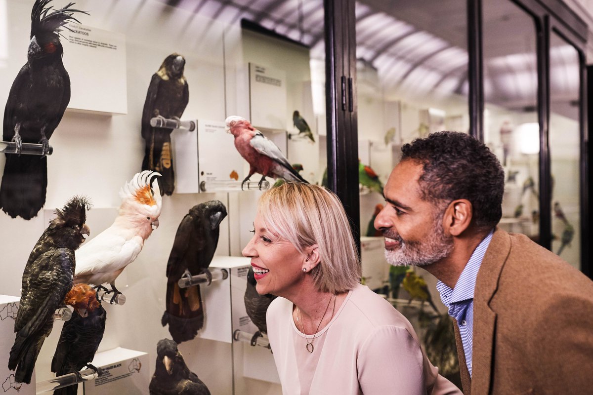 Birds of Australia - The Australian Museum