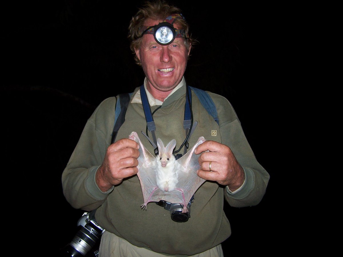 Phil Spark - The Australian Museum