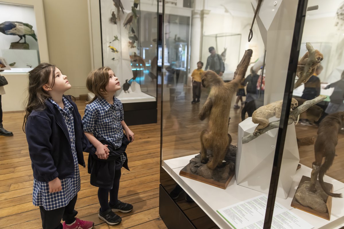 Animals in our living world - The Australian Museum