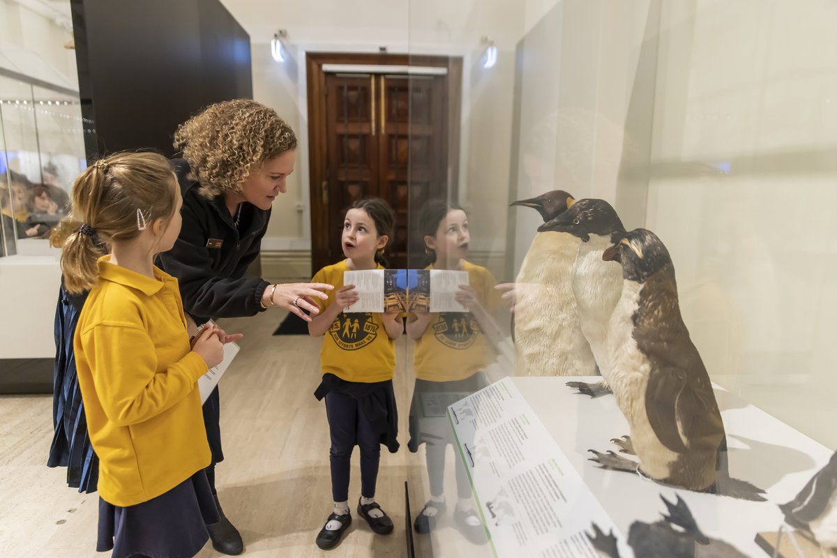 Animal features and the environment - The Australian Museum
