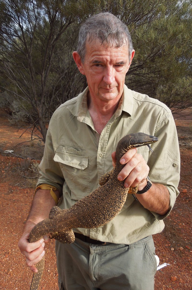 Dr Ross Sadlier - The Australian Museum