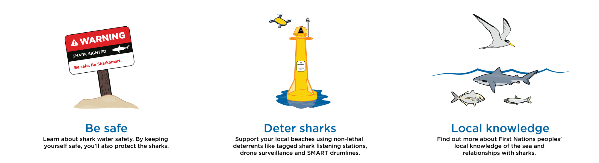 Saving sharks - The Australian Museum