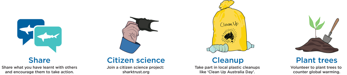 Saving sharks - The Australian Museum