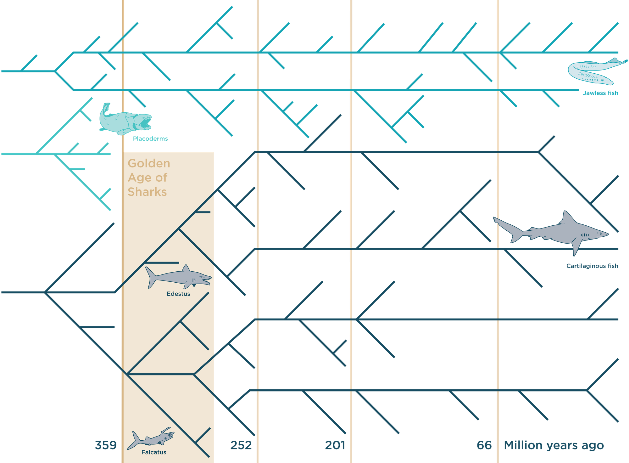 The ancient ones - The Australian Museum