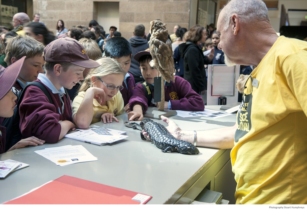 What sparked your imagination - The Australian Museum Blog