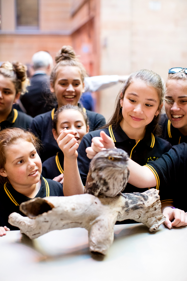 School excursions at the Australian Museum - The Australian Museum
