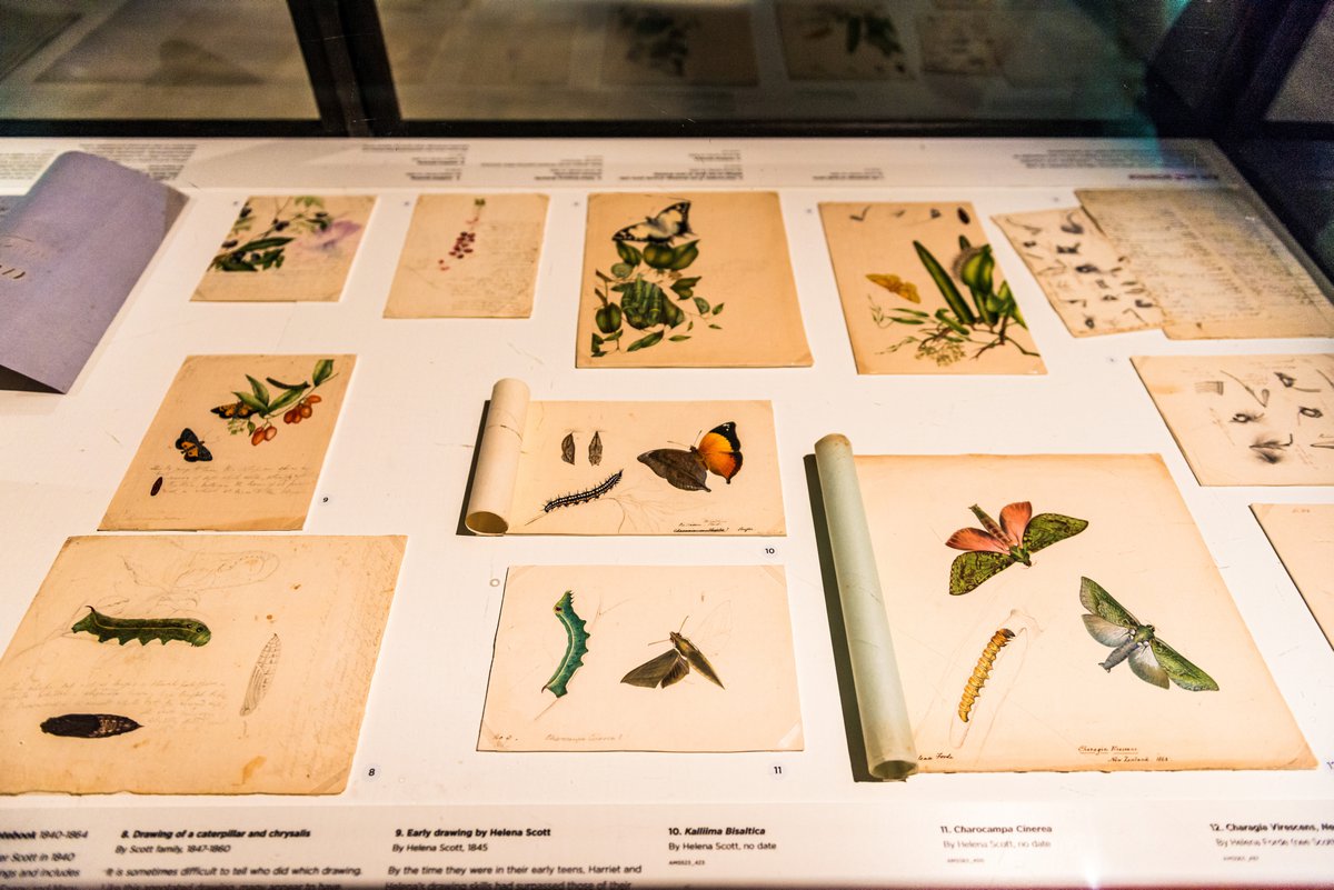Touring exhibition: Transformations: Art of the Scott Sisters - The ...