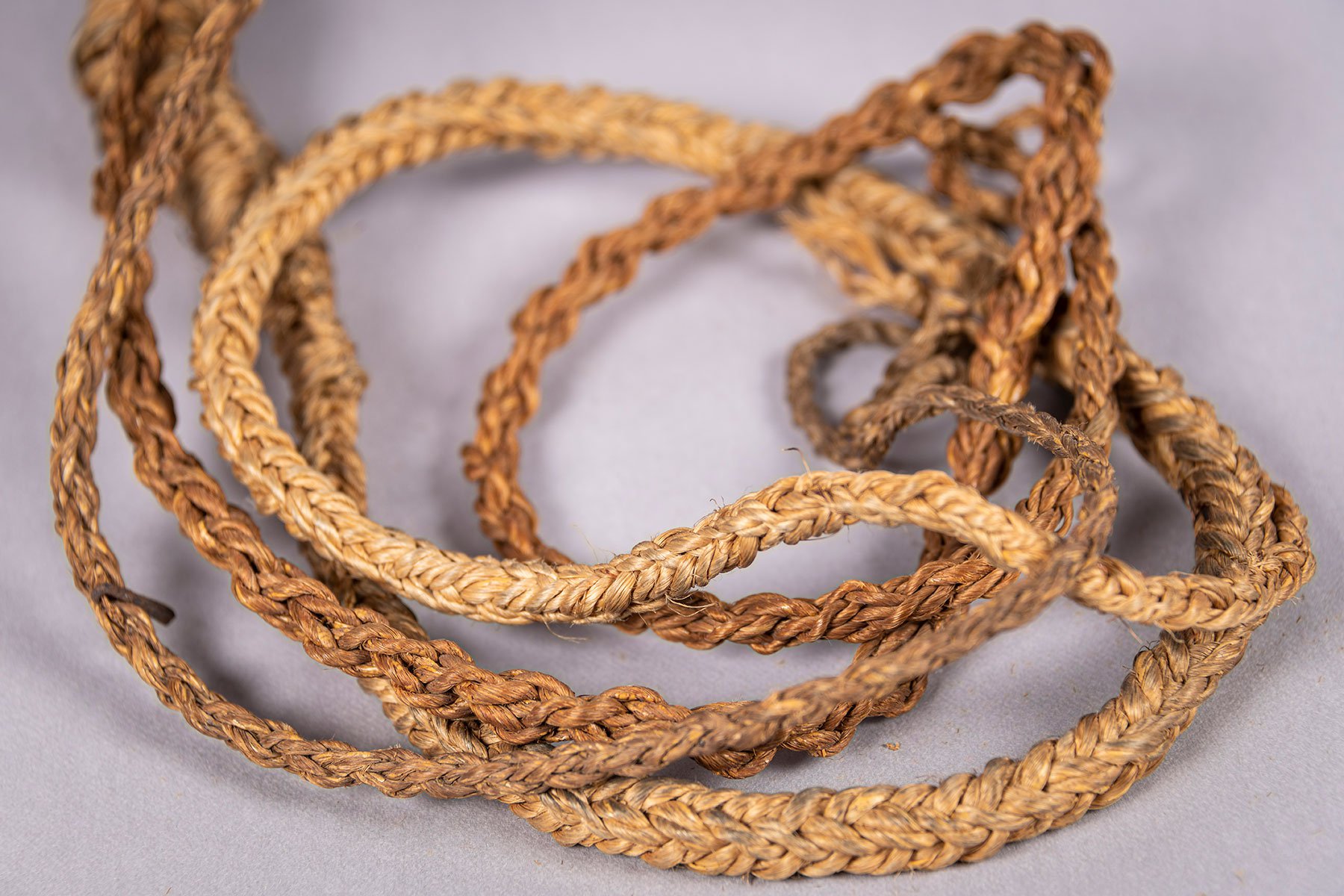 Aotearoa - The Australian Museum