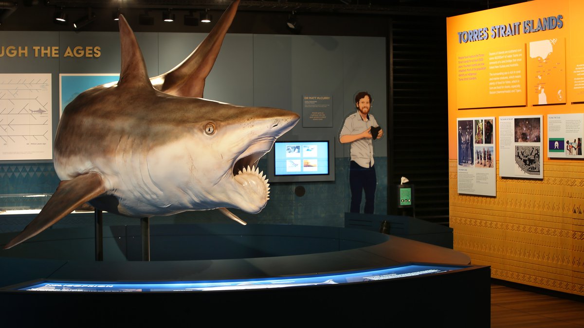 Touring exhibition: Sharks - The Australian Museum