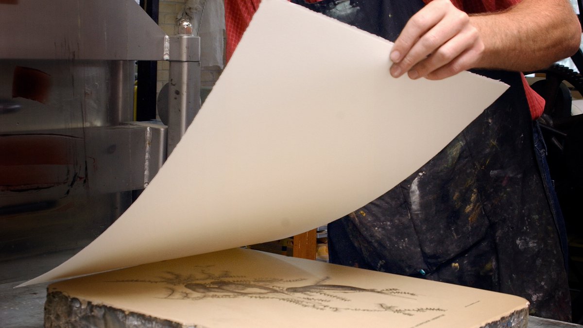 Lithography in the time of John Gould - The Australian Museum